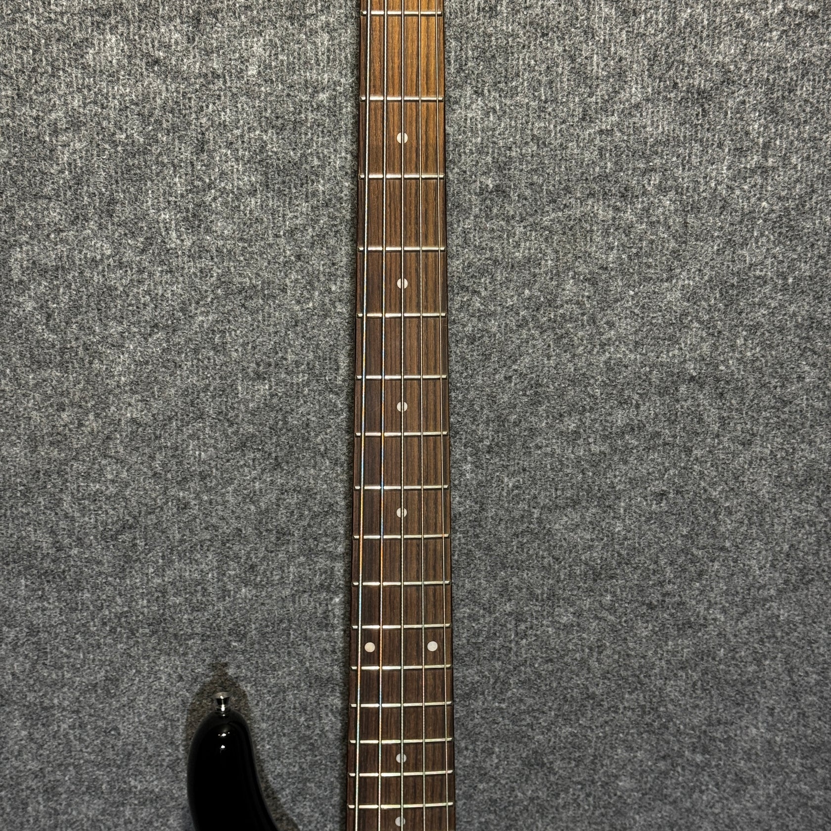 Chord 5 String Bass Guitar – All Instruments Ltd